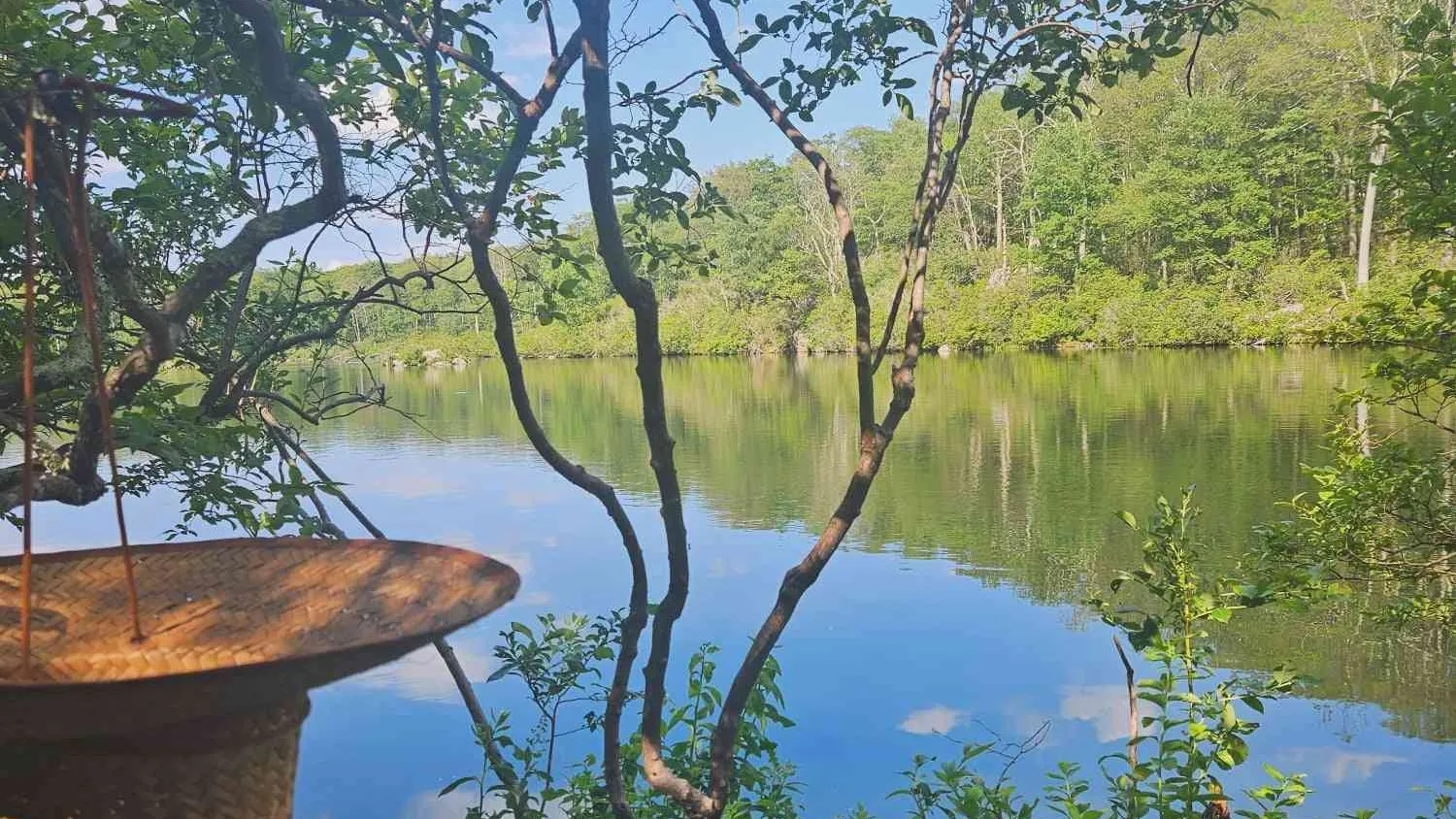 Lin Codega - Rascal News